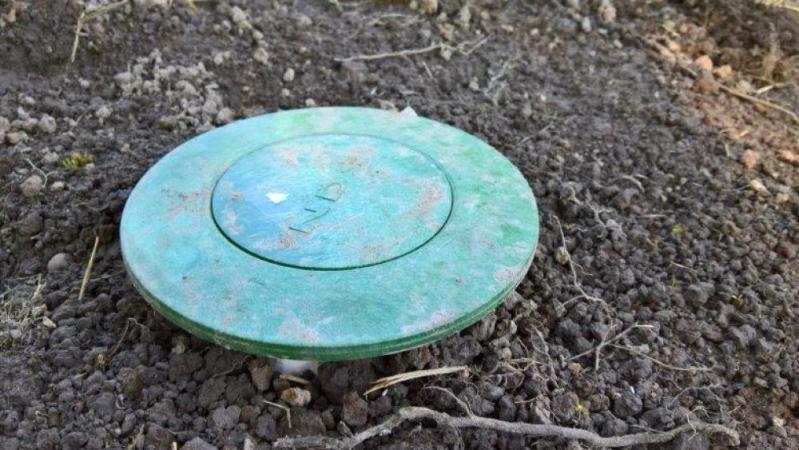 Resources | Drain It Now